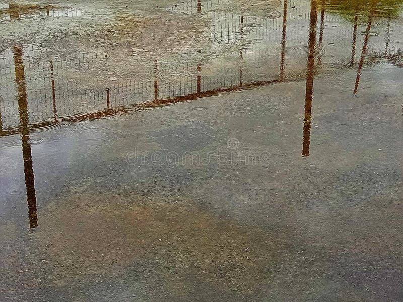 Reflection on Water after the Rain Stock Photo - Image of rain, water ...