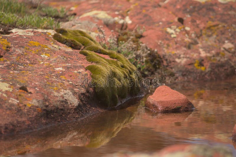 Reflection in Water in Red Rock Pool Stock Photo - Image of mineral ...