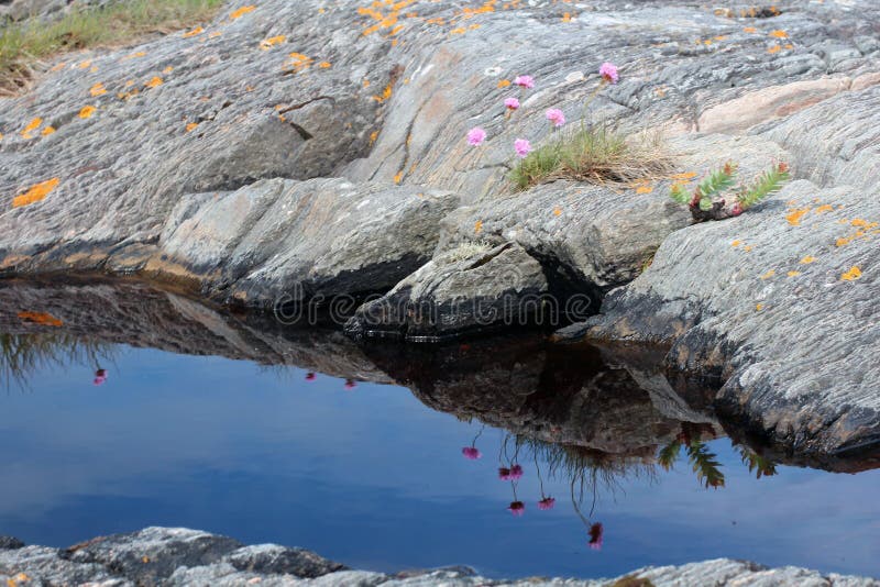 Reflection, Water, Rock, Geological Phenomenon Picture. Image: 132088390
