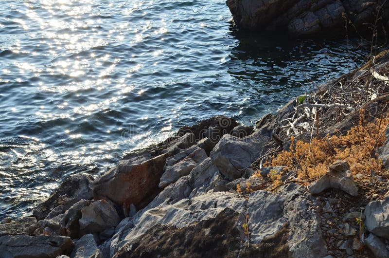 The Reflection of Water in the Rocks Stock Photo - Image of wilderness ...