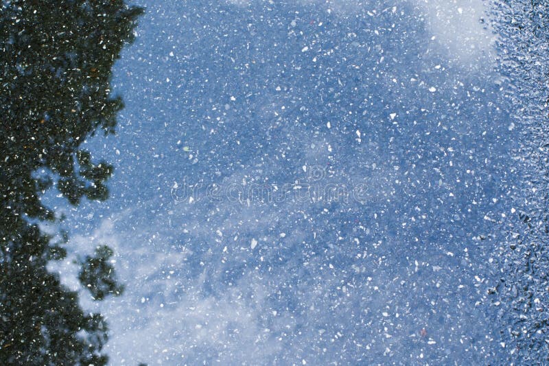 Reflection of the Water Surface Stock Image - Image of nature, shows ...