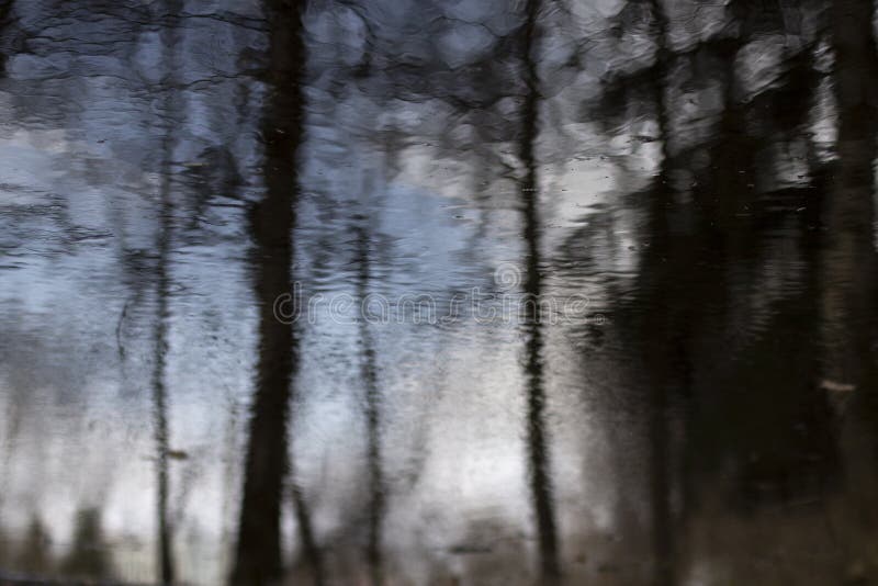 Reflection on the Water. the Surface of the Pond Stock Photo - Image of ...