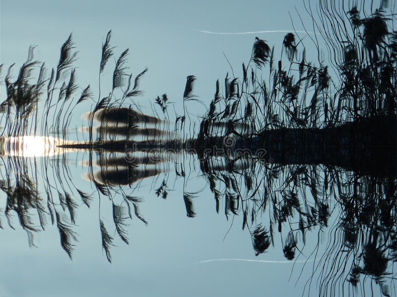 Reflection, Water, Tree, Sky Picture. Image: 99051328