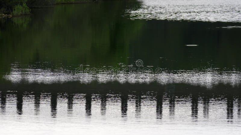 Reflection in the Water of Trees and Sky in an Abstract Shot for ...