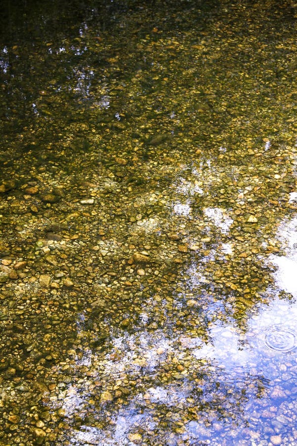 Reflection of water stock image. Image of shallow, calm - 153475961