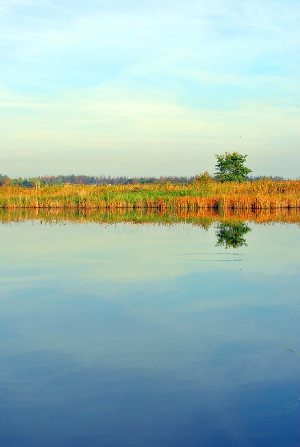 Reflection, Water, Wetland, Water Resources Stock Image - Image of ...