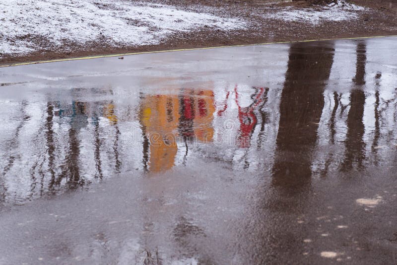 Reflection on wet asphalt stock photo. Image of tree - 89294714