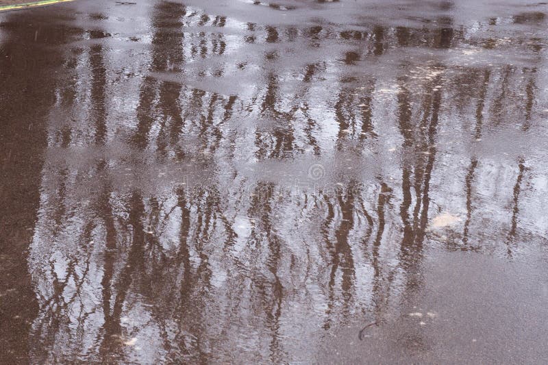 Reflection in puddle stock image. Image of rain, urban - 84572019