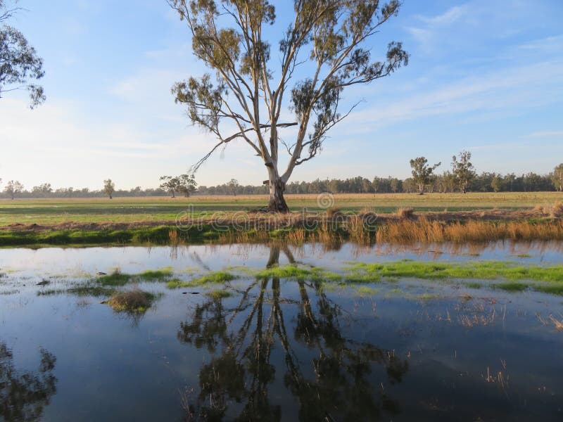 Reflection, Wetland, Water, Nature Reserve Stock Image - Image of ...