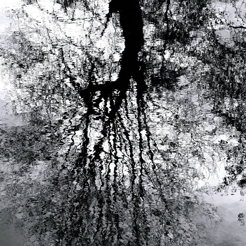 Reflection Wharram Percy North Yorkshire England Stock Photo - Image of ...