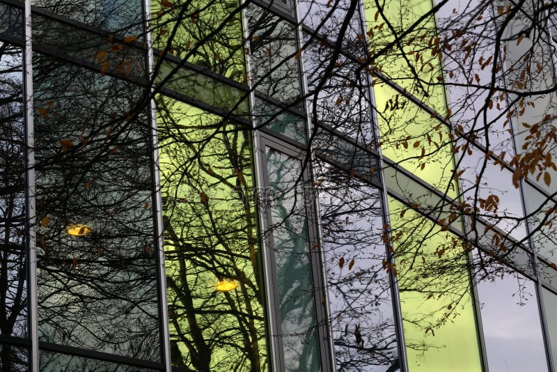 Reflection in the windows stock image. Image of reflection - 104408325