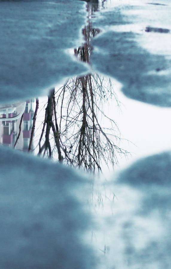 The Reflection of the World Stock Image - Image of fuzzy, clear: 29575119