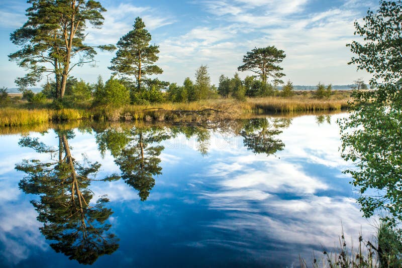 Reflections on a Calm Swamp Lake Stock Photo - Image of dutch, evening ...