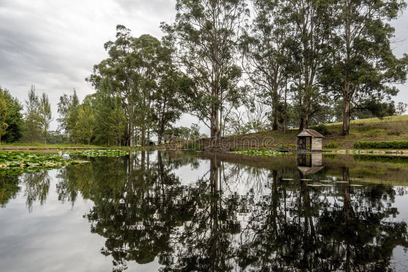 Reflections from a Countryside Pond Stock Photo - Image of environment ...