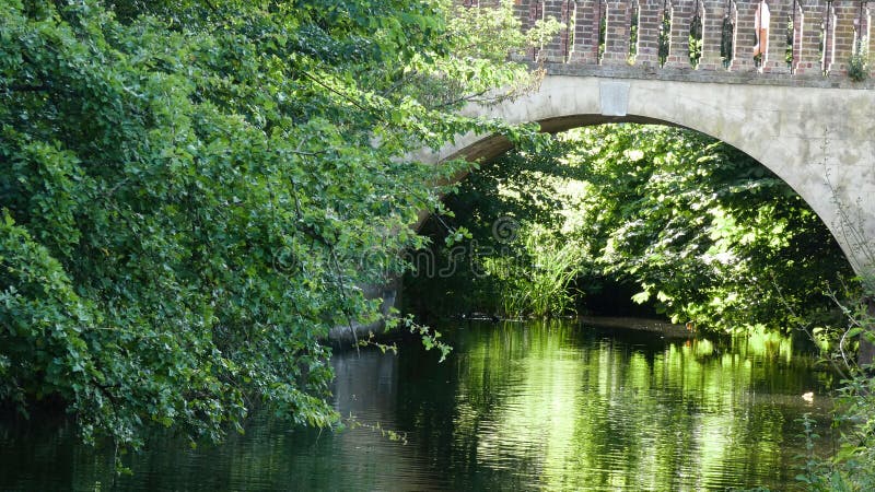 English River with Trees and Greenery Calm Water and Blue Sky and ...