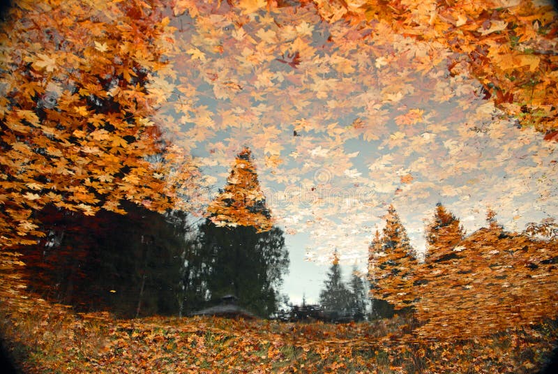 Fall Reflections Picture. Image: 17390715