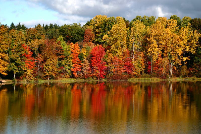 Reflections of Fall stock image. Image of maple, autumn - 666267