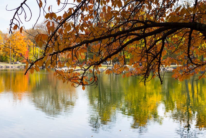 Reflections of Fall stock image. Image of lake, canada - 46083117