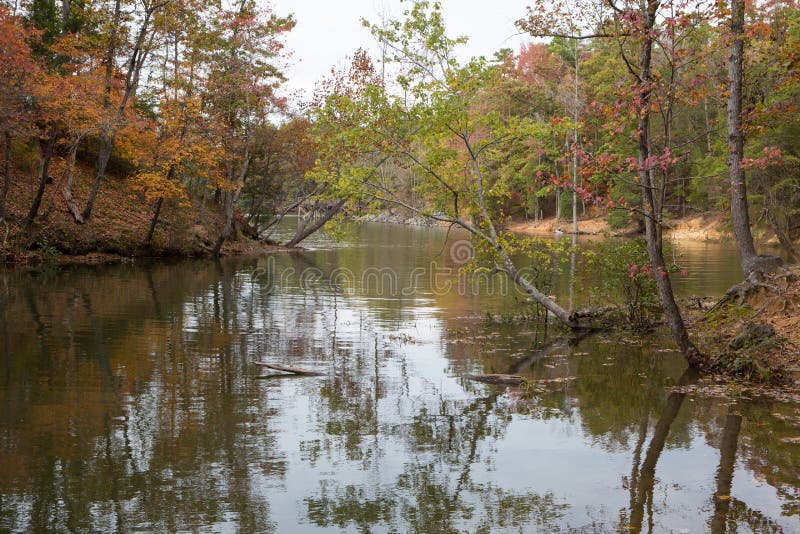 Reflections of Fall stock photo. Image of wilderness - 61783244