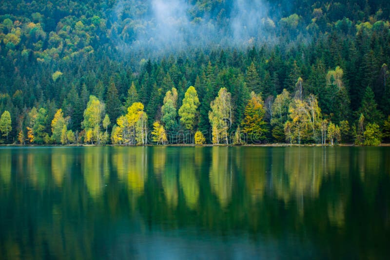 Reflections with Forest in Autumn Lake, Sf Ana Lake Stock Photo - Image ...