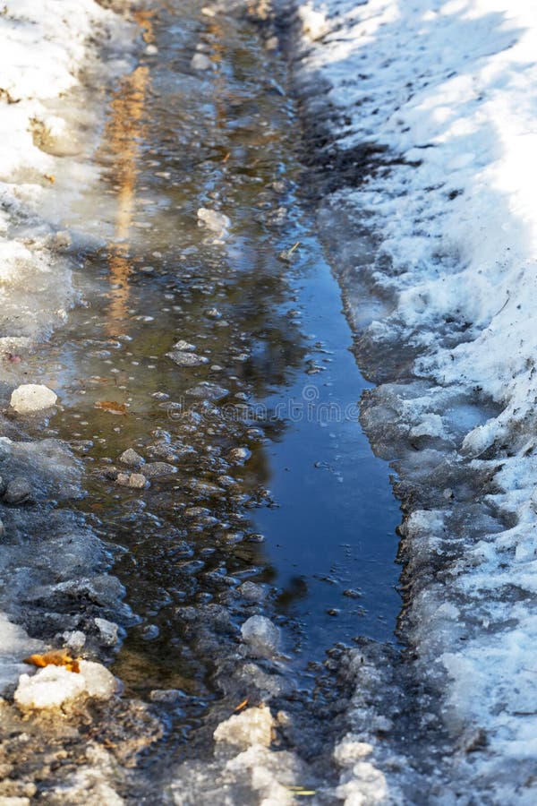 Reflections of the Forest and Sky in a Snow Puddle on the Road ...