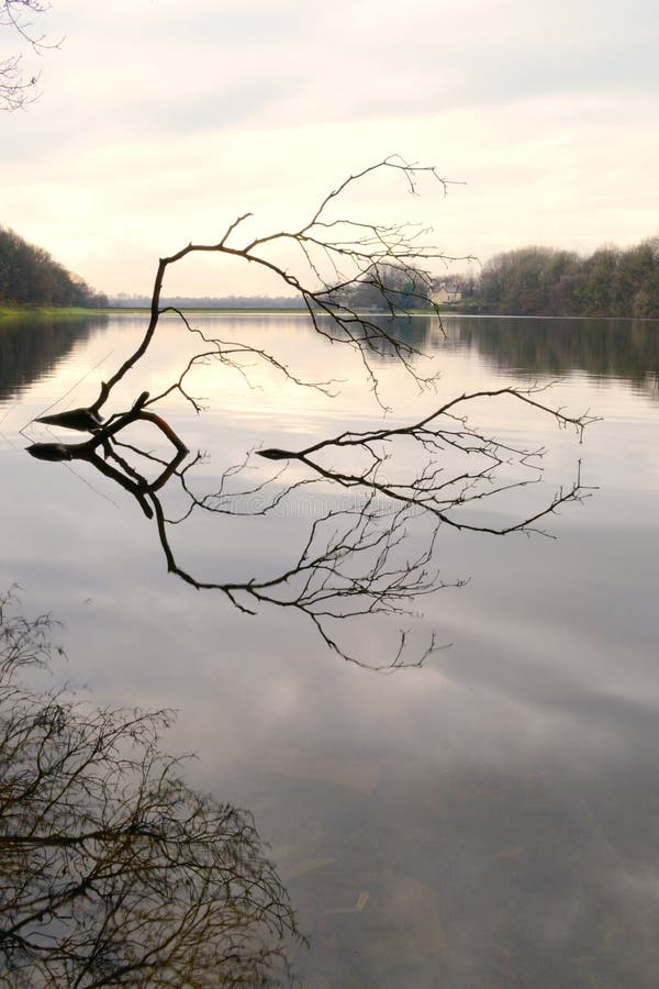 Reflections of a Great Morning Stock Photo - Image of north, dawn: 37983718