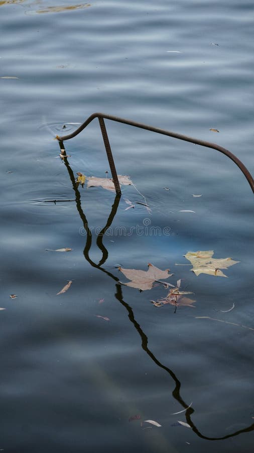 Reflections on IOR Lake Waters at Daytime Stock Photo - Image of ...