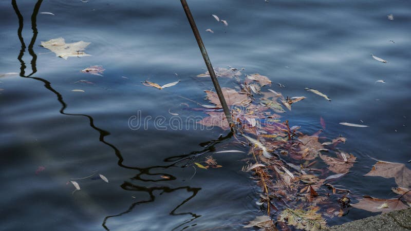 Reflections on IOR Lake Waters at Daytime Stock Photo - Image of ...