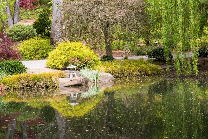Reflections in Japanese Garden Stock Image - Image of light, tranquil ...