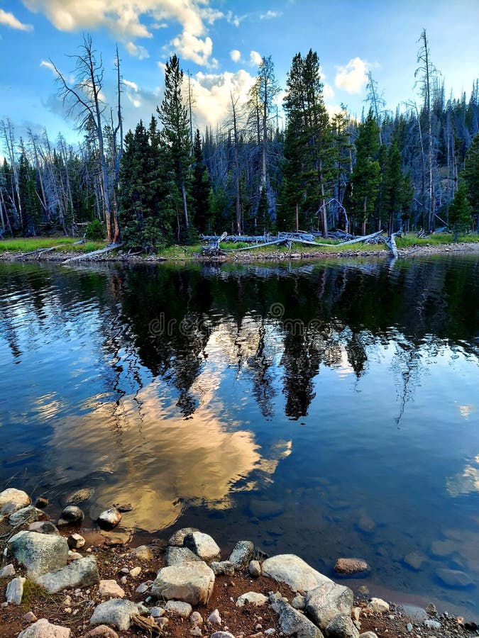Reflections in the Lake Camping Stock Photo - Image of reflections ...