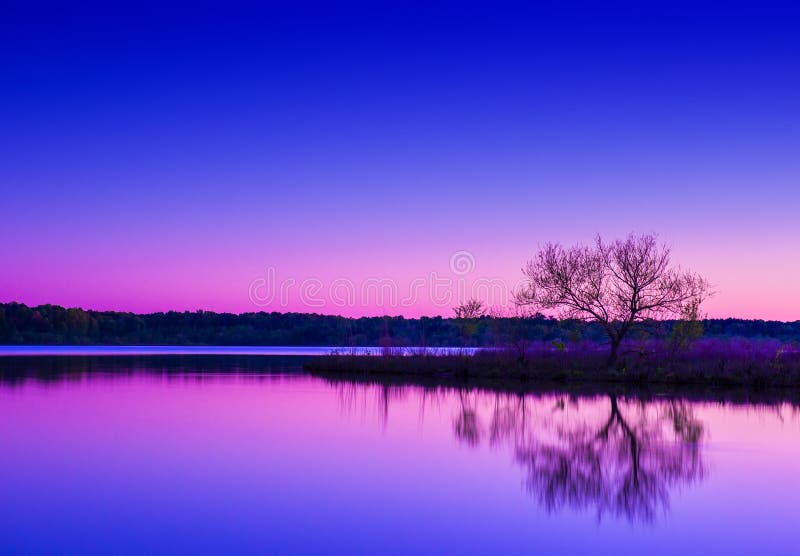 Reflections stock photo. Image of tree, calm, sunny, sunshine - 70746530
