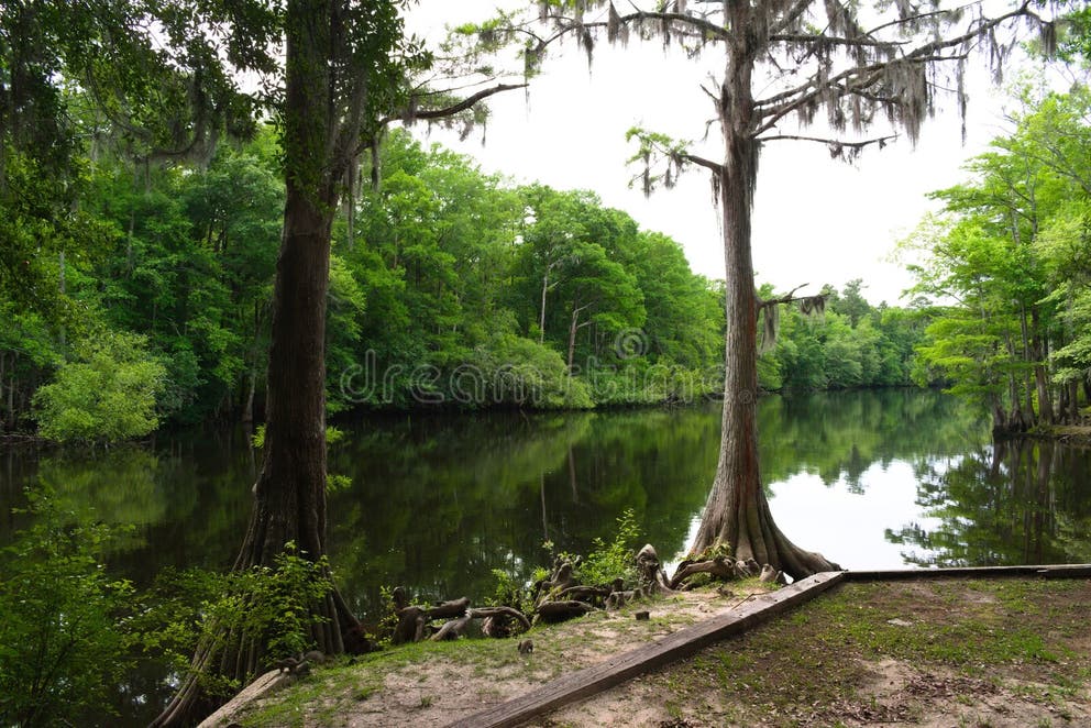 Reflections in the Lumber River Stock Image - Image of trees, vacation ...