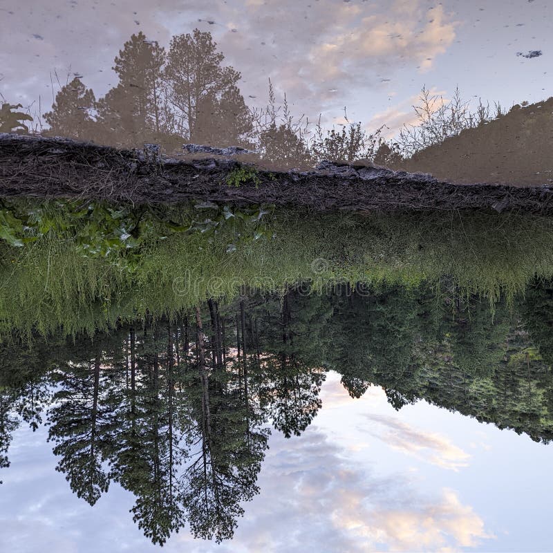 Reflections in a Mud Puddle on a Dirt Road Stock Photo - Image of wall ...