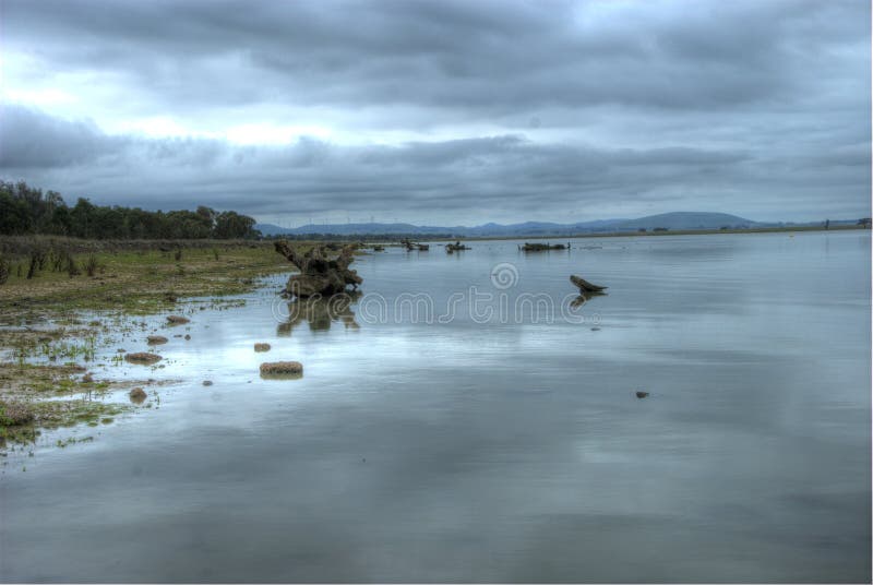 Reflections on an Overcast Day Stock Image - Image of stump, reflected ...