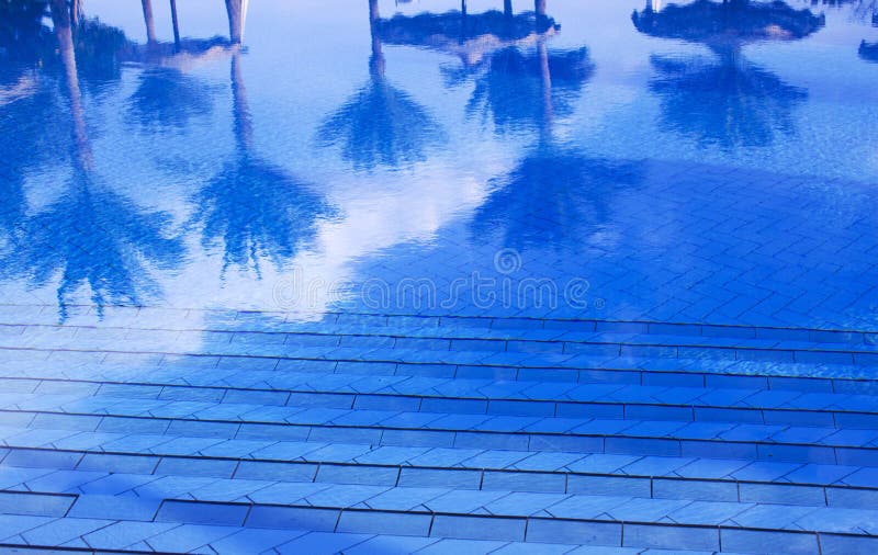 Reflections of Palm Trees in the Water of a Swimming Pool Stock Image ...