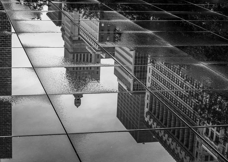 Reflections on the path stock image. Image of pathway - 126726673