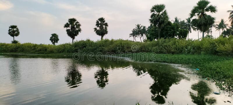 Water Reflections Photography -Reflection Photography Stock Image ...