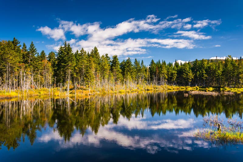 Reflections at a Pond in White Mountain National Forest, New Ham Stock ...