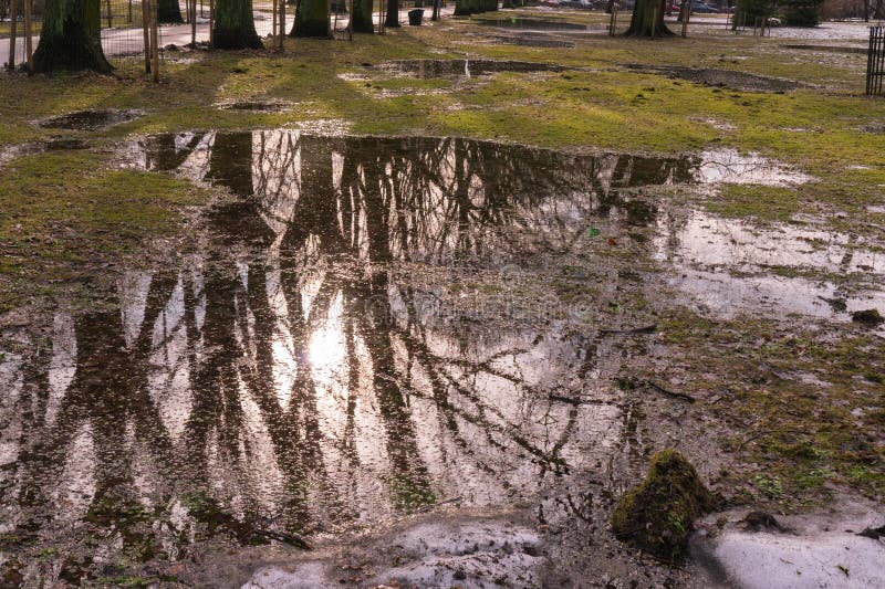 Sky reflections stock photo. Image of peaceful, water - 76684586
