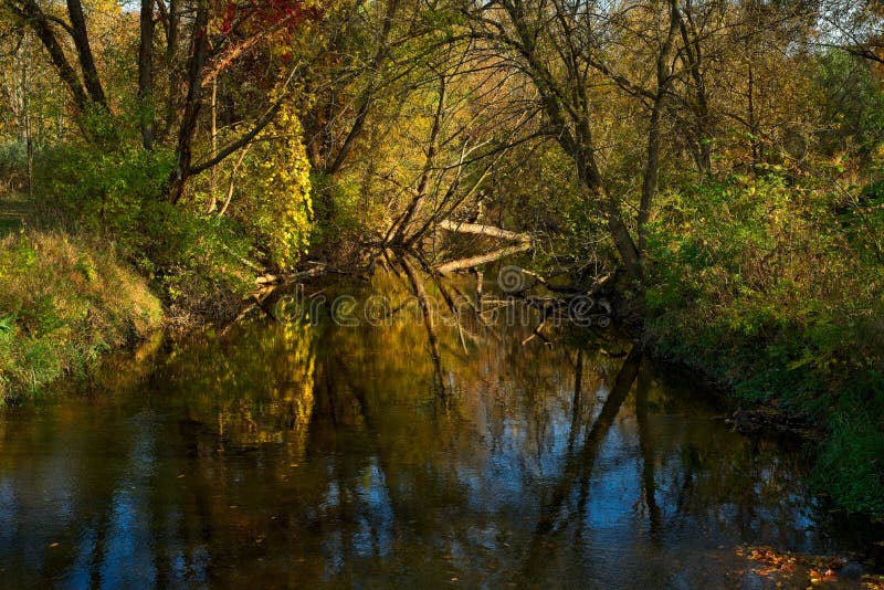 Quiet Stream stock photo. Image of morning, winter, stream - 85637540