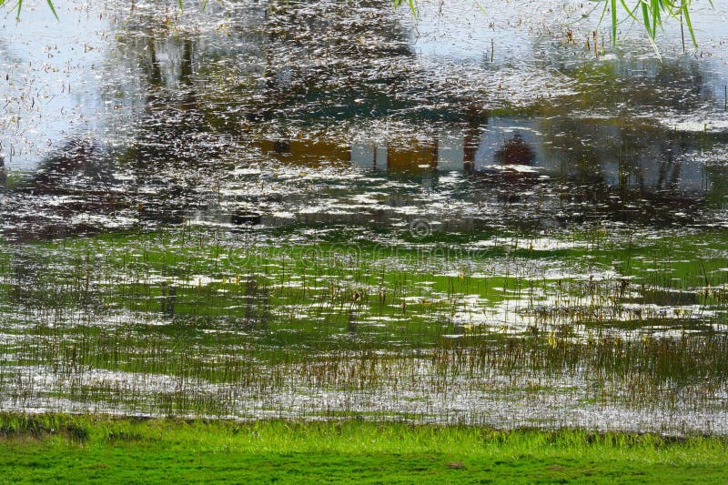 Reflections after Rain at Padina Ursului Stock Photo - Image of ursului ...