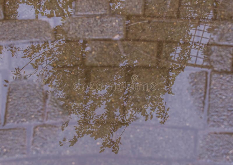 Reflections in a Rain Puddle Stock Photo - Image of paved, design ...