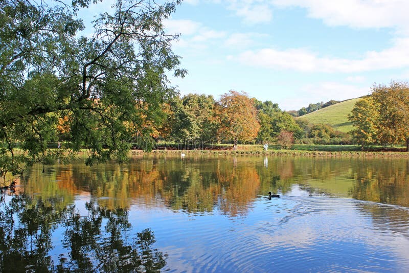 Reflections in the River Dart, Devon Stock Photo - Image of england ...