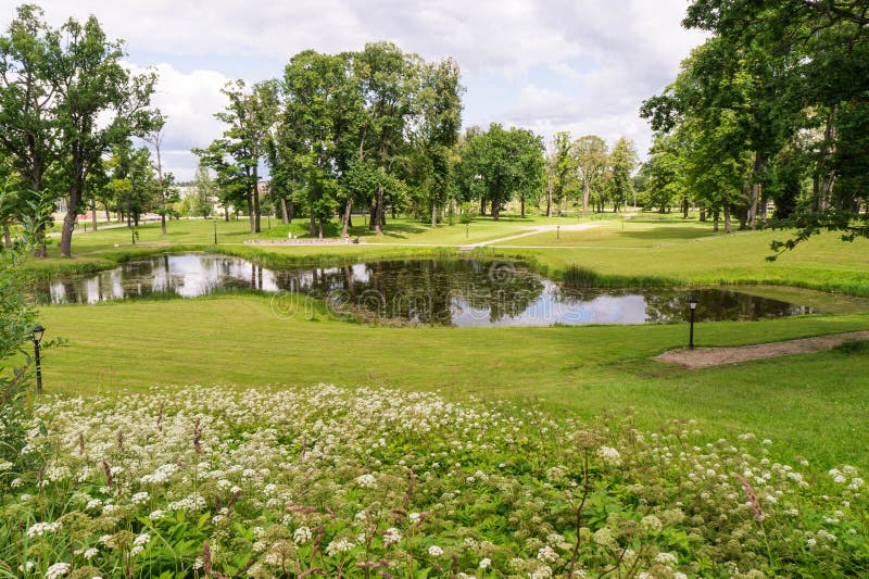 Reflections in rural pond stock photo. Image of green - 98231194