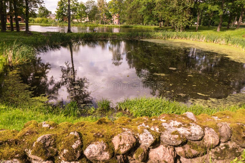 Reflections in rural pond stock photo. Image of green - 98231194