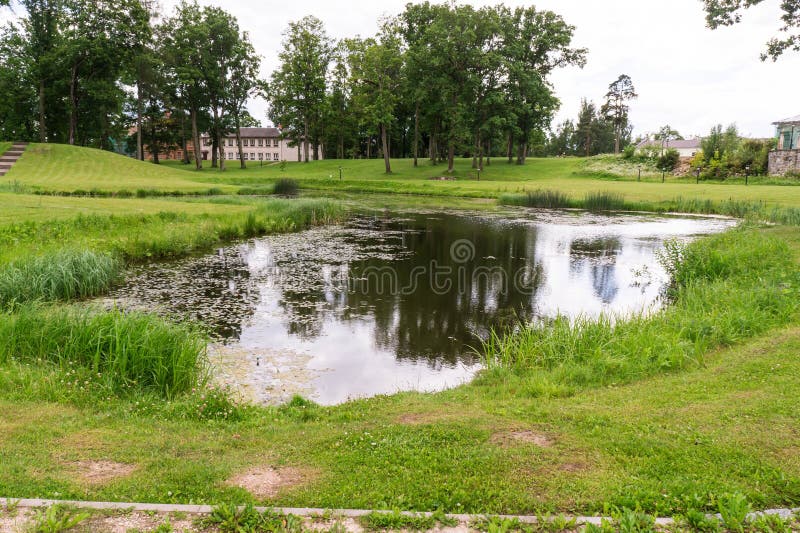 Reflections in rural pond stock photo. Image of green - 98231194