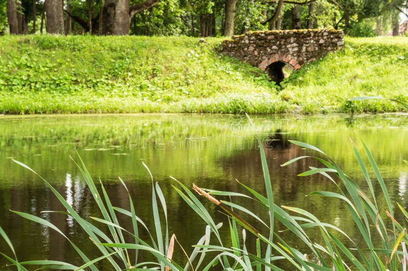 Reflections in rural pond stock image. Image of park - 98231187