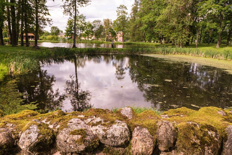 Reflections in rural pond stock photo. Image of green - 98231194