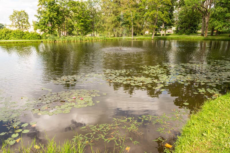 Reflections in rural pond stock photo. Image of green - 98231194