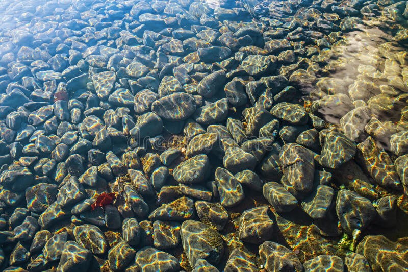 Reflections of the Sun on the Underwater Stones at the Bottom of the ...